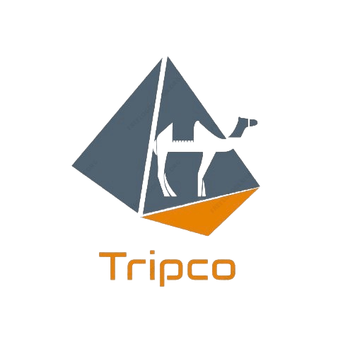 Giza Pyramids, Memphis City, and Saqqara Pyramid Day Tour - Tripco